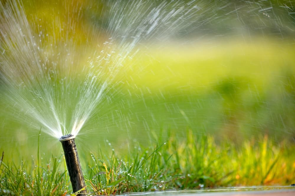 Guide To Reticulation Repairs In Perth | Indian Ocean Landscapes